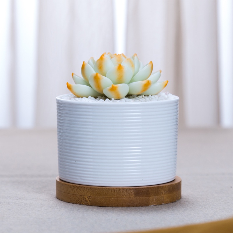 7.5 Cm. Glossy-Type Cylindrical Ceramic Plant Pot Horizontal Linear ...