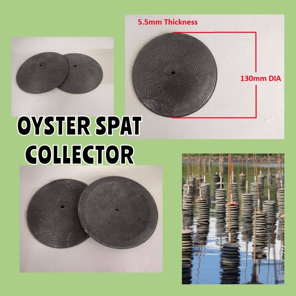 Oyster Spat Collector (10pcs./pack) | Shopee Philippines
