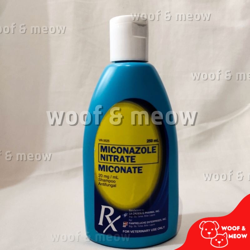 Miconate shampoo Anti-Fungal Shampoo 250ML | Shopee Philippines