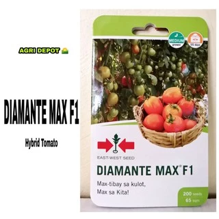 diamante - Best Prices and Online Promos - Apr 2024 | Shopee Philippines