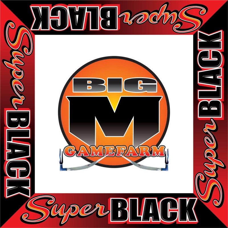 Limber matting 4x4 feet gamefowl 13oz legit po free return lo g hindi ...