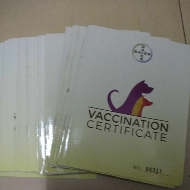 Vaccination Certificate Booklet type with cover | Shopee Philippines