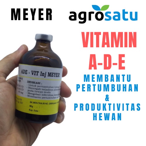 Vitamin ADE Vit Inj Meyer Type VITOL Productivity Medicine Healing ...