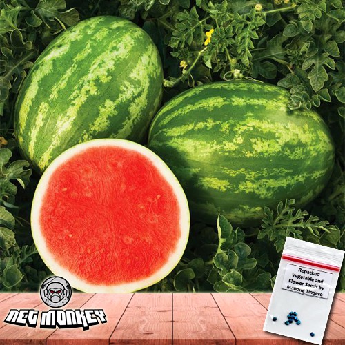 Watermelon Sweet 16 F1 ( 10 Seeds ) | Shopee Philippines