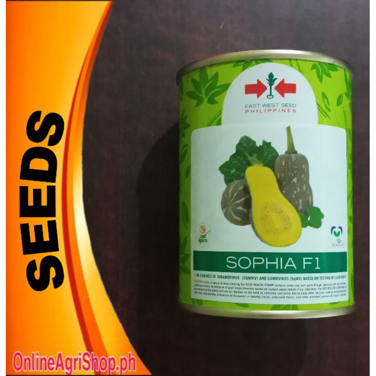 SOPHIA F1 HYBRID BUTTERNUT SQUASH SEEDS (425 SEEDS) EAST WEST | Shopee Philippines