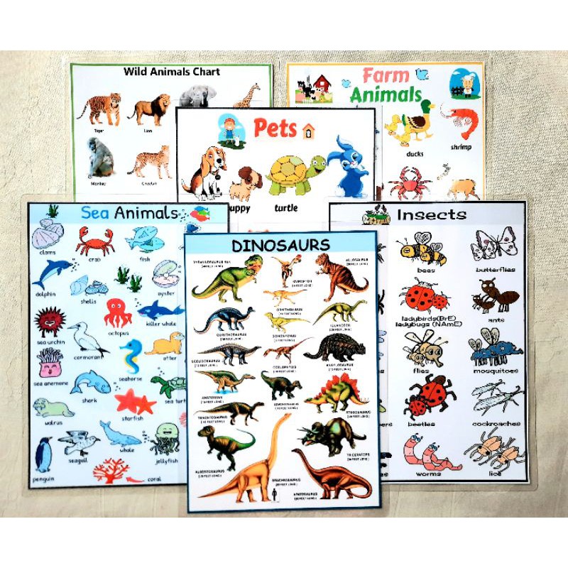 Animal Charts Laminated A4 bond paper size for kids(teacher pher ...