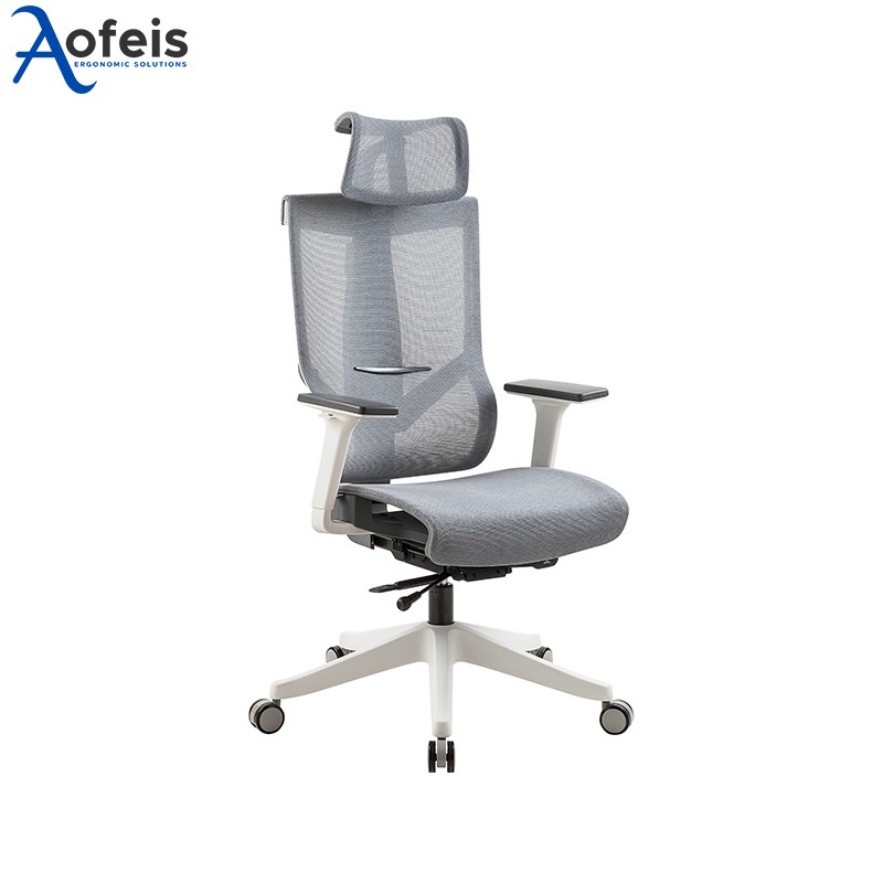 Aofeis ErgoChair NEST Office Computer Chair German Whole Mesh Chair ...