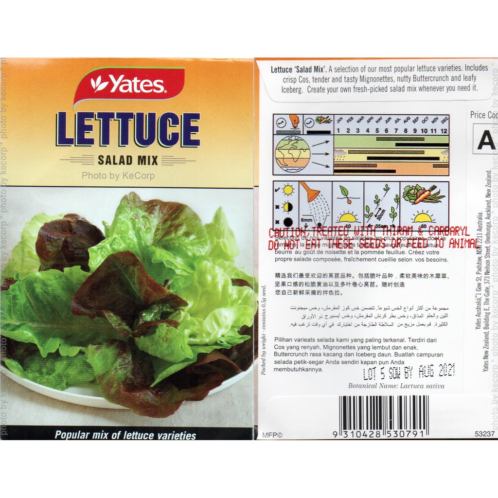 Ramgo & Yates Lettuce Seeds - Sold per Pack per Variety KECORP_S1 ...