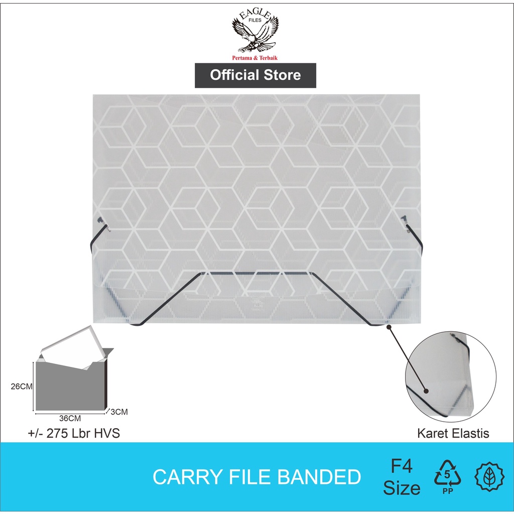 EAGLE Carry File Box Banded F4 (Folio) Document Bag/ Document Folder ...