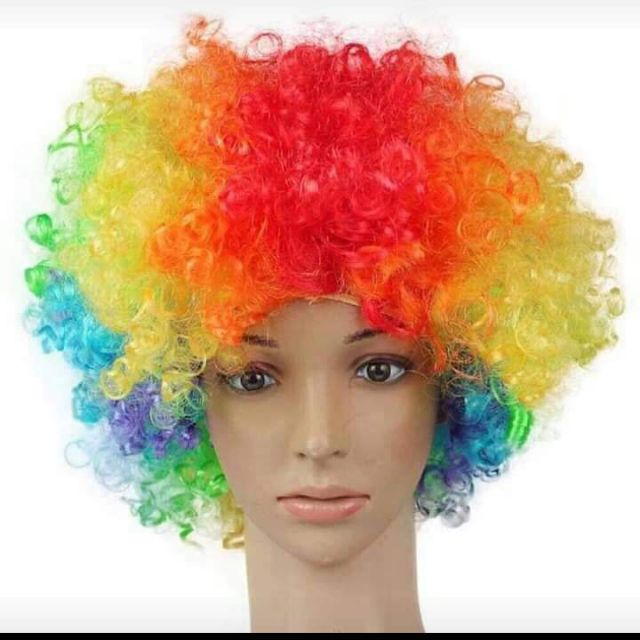 Multicolored clown afro wig curl | Shopee Philippines