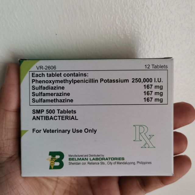 Smp 500 per box 12tablets | Shopee Philippines