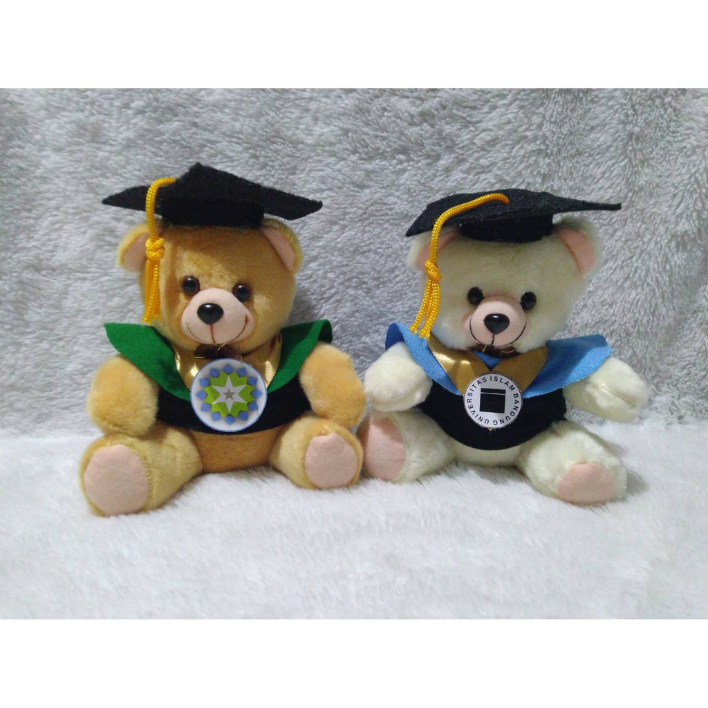 Graduation Teddy Bear | Teddy Bear Doll | Medium Graduation Doll ...