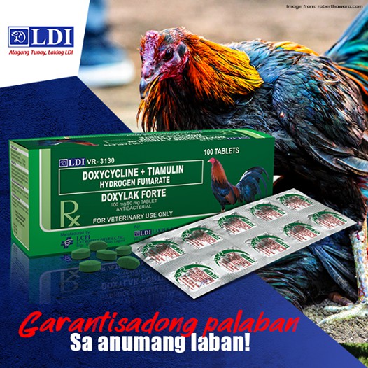 Doxylak Tablet 100's (SOLD PER BOX) | Shopee Philippines