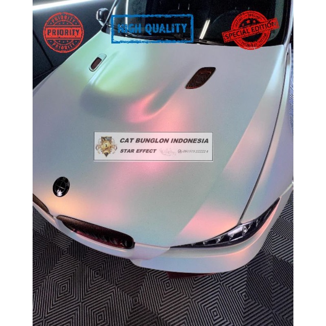 PUTIH White Chameleon Paint | Shopee Philippines