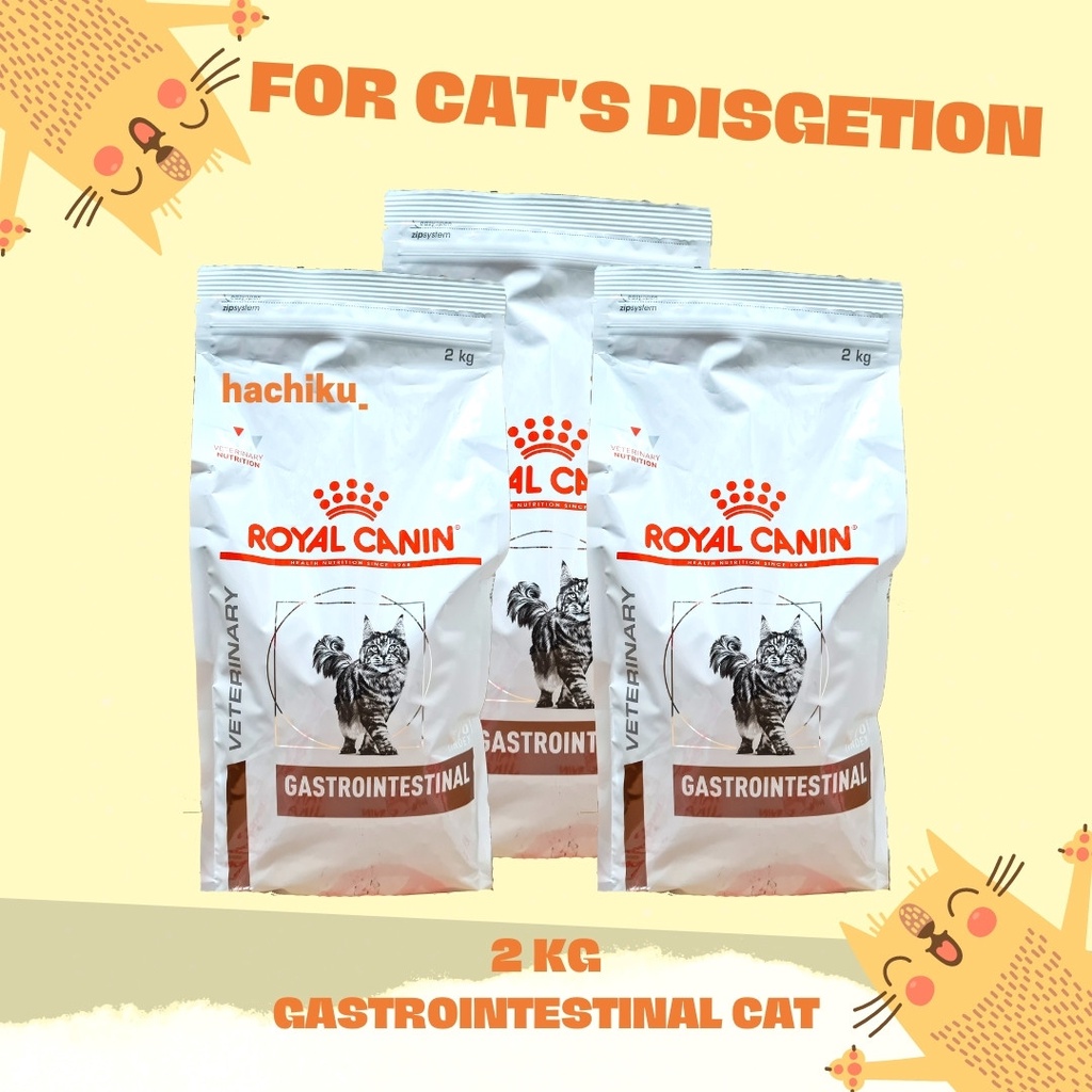 Royal CANIN GASTROINTESTINAL CAT 2kg/CAT Food (Unit) | Shopee Philippines