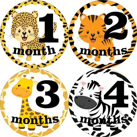 12 Months Baby Milestone Stickers | Shopee Philippines