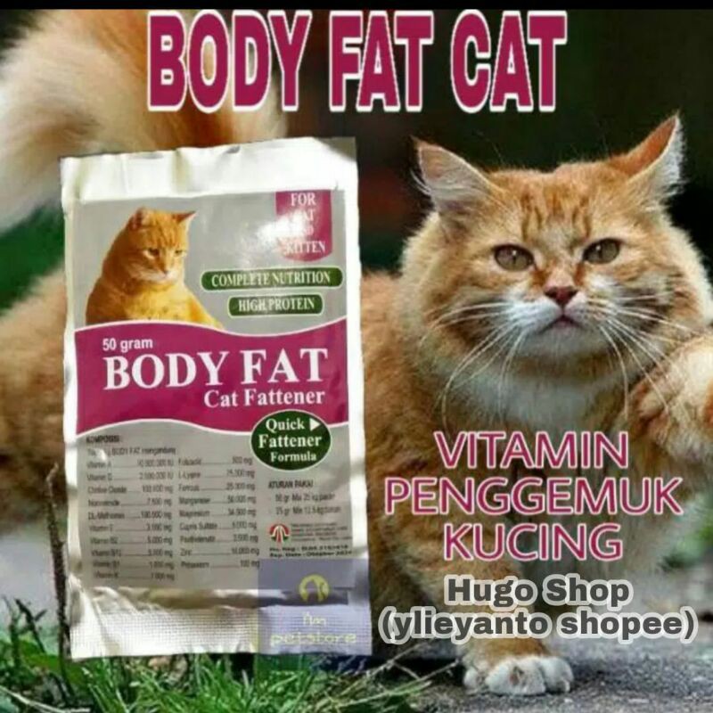 Body fat cat 50 grams of cat fattening vitamins / cat body fat / cat ...
