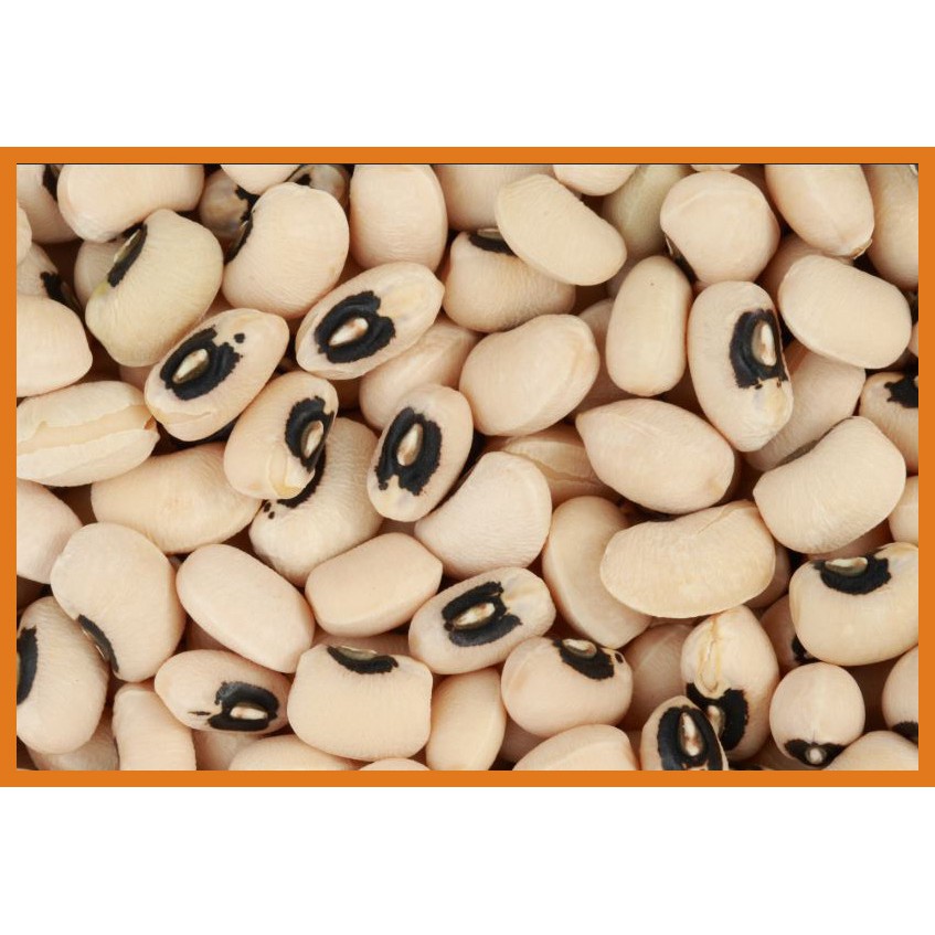 *Hari Raya Organic Black Eye Bean 有机眉豆 500g/1kg | Shopee Philippines