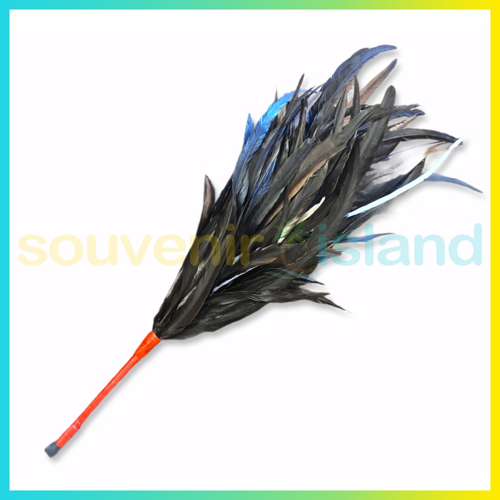 17" Philippine Cleaning Feather Duster (Long Tail) | Shopee Philippines