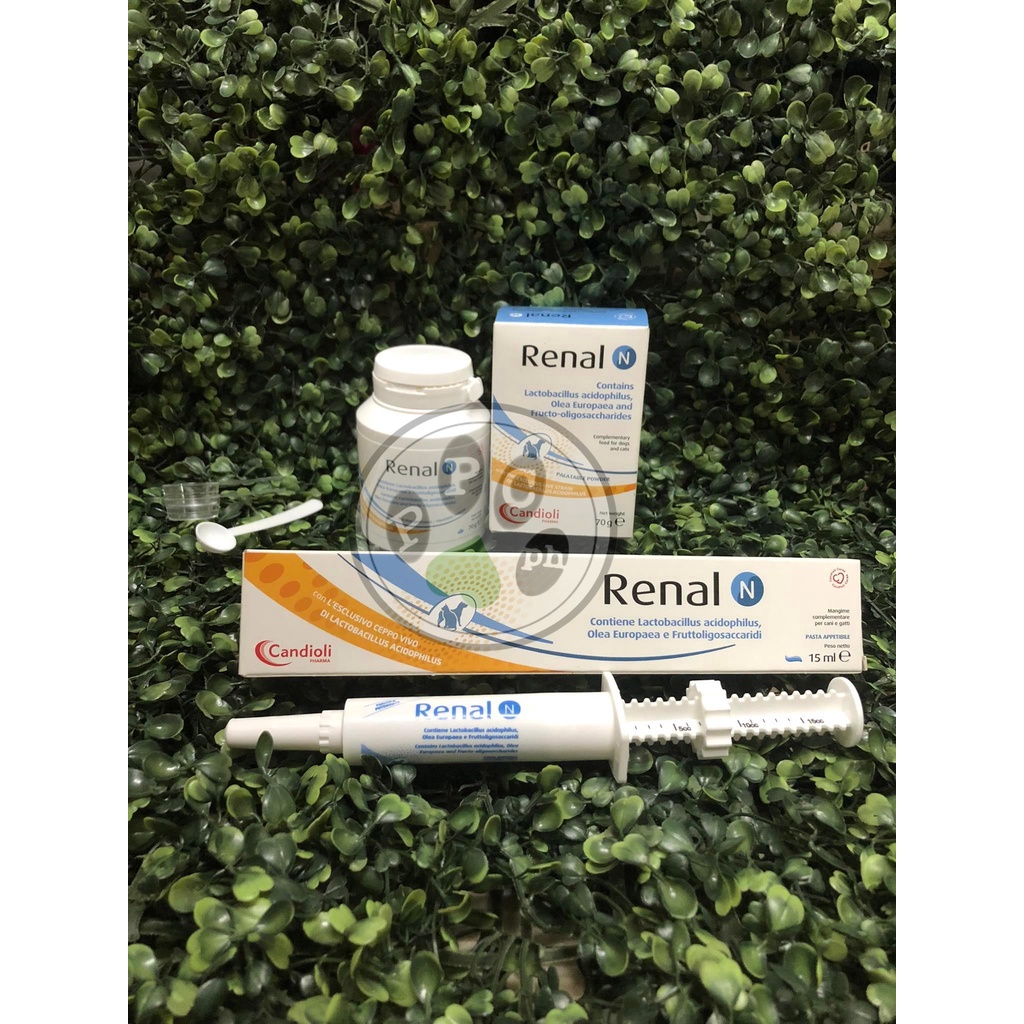 Candioli Renal N Supplement for CKD in Cats and Dogs | Shopee Philippines