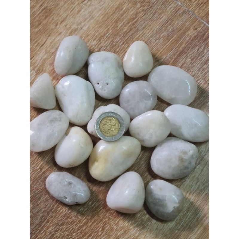 White marble stone/pebbles stone/aquarium stone(1kg) | Shopee Philippines