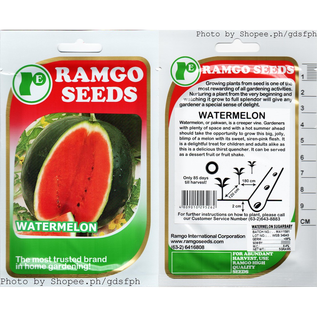 Ramgo RPO Seeds Watermelon Sugarbaby 5g (Original Pack) GDSFPH_S4 ...