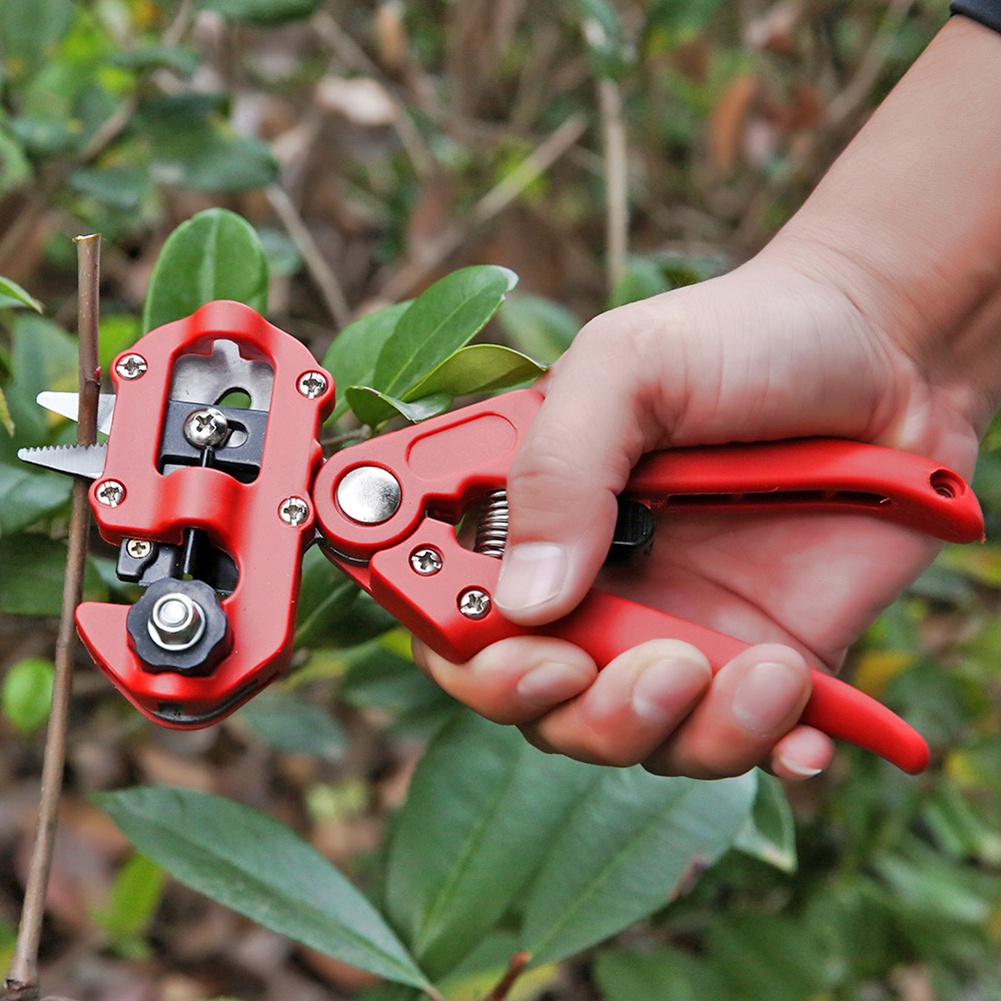 Garden Tools Grafting Pruner Chopper Vaccination Cutting Tree Plant ...