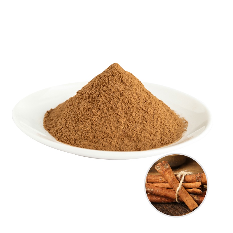 Wholesale Bulk Pure Natural Cinnamon Extract Powder Cinnamon Powder ...