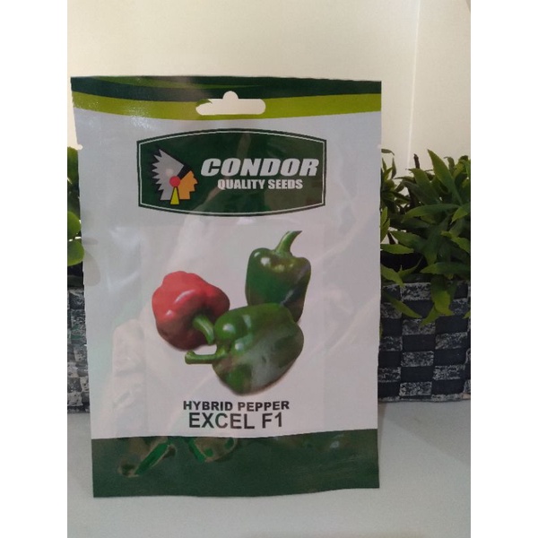 Hybrid Pepper Excel F1 Condor Sachet 50seeds | Shopee Philippines