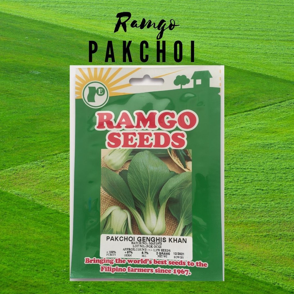 Ramgo LEAFY VEGETABLES (Lettuce, Pakchoi, Spinach, Pechay, Mustasa ...
