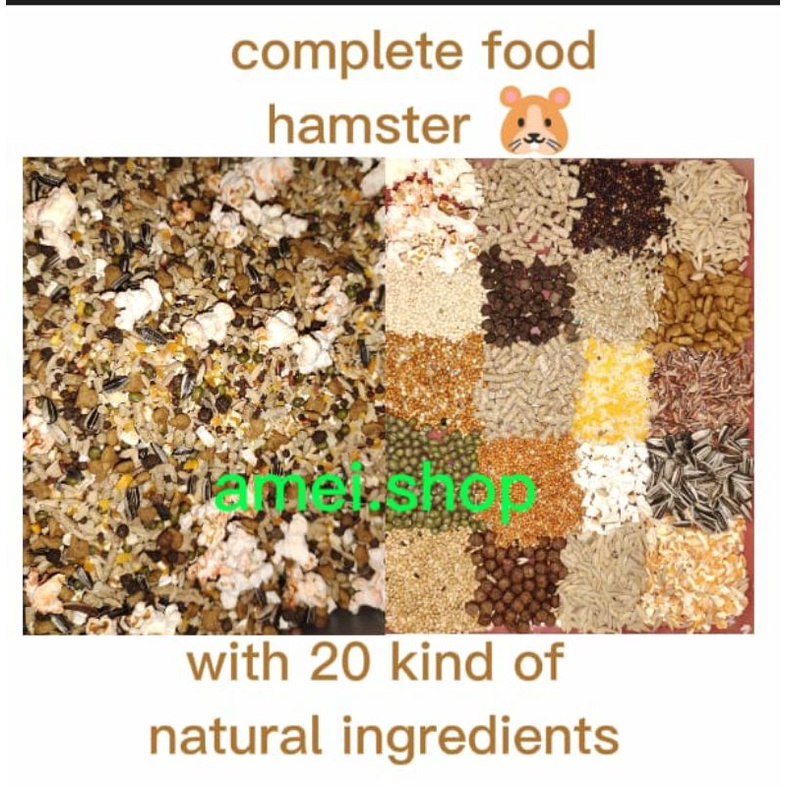 Hamster Food with 20 types of the best favorite hamster food | Shopee ...
