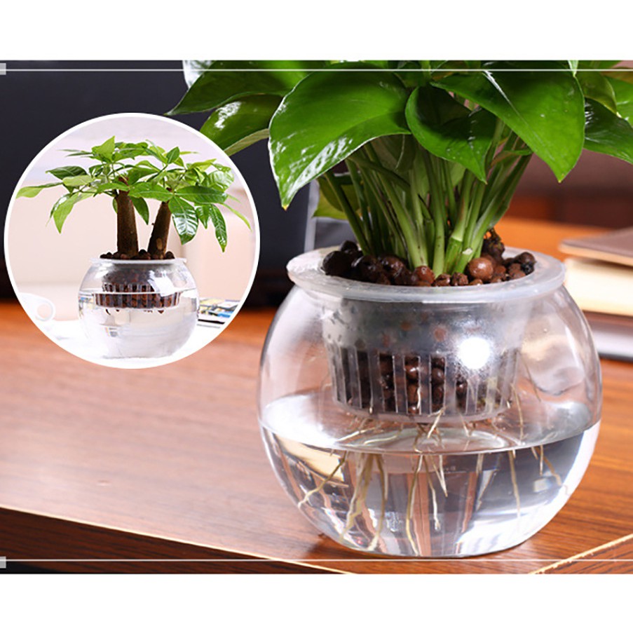 10Pcs Hydroponic Planting Cup Net Basket Aquaponic Plant Grow Basket ...