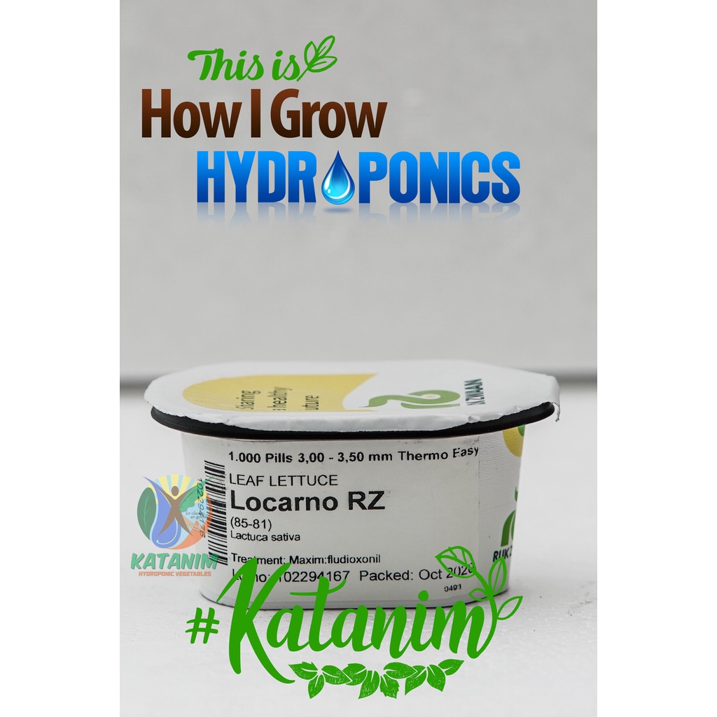 Locarno Seeds by RZ Rijk Zwaan - Lollo Bionda (100-500 seeds) | Katanim ...