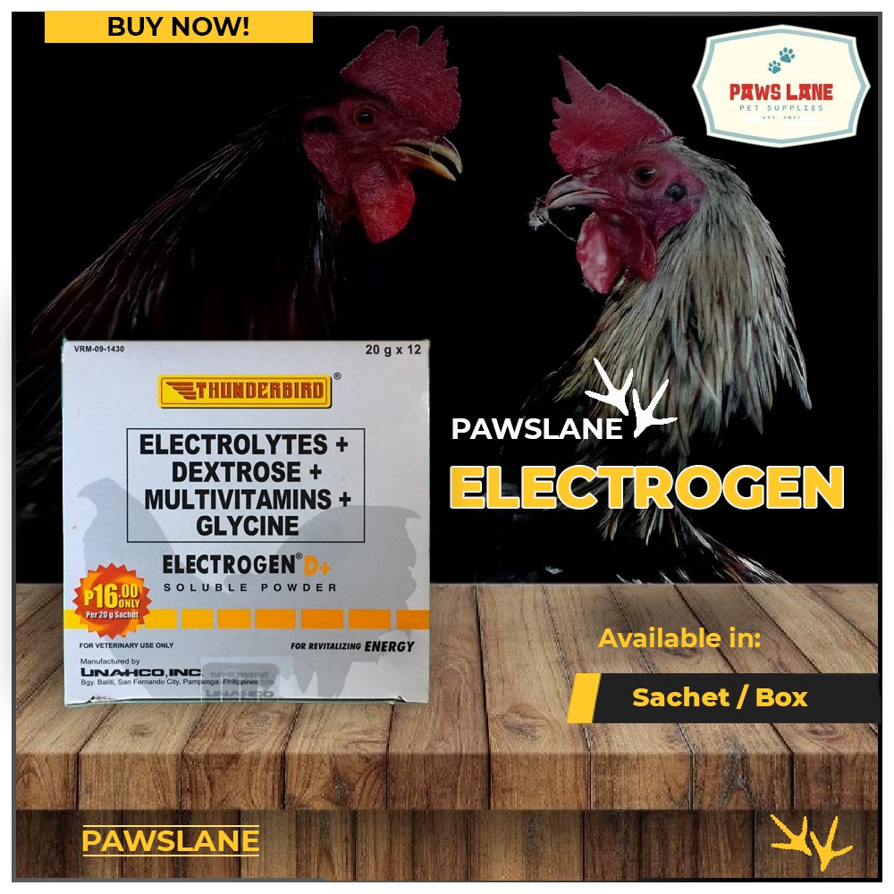 Thunderbird Electrogen D+ 20g Sachet | Shopee Philippines