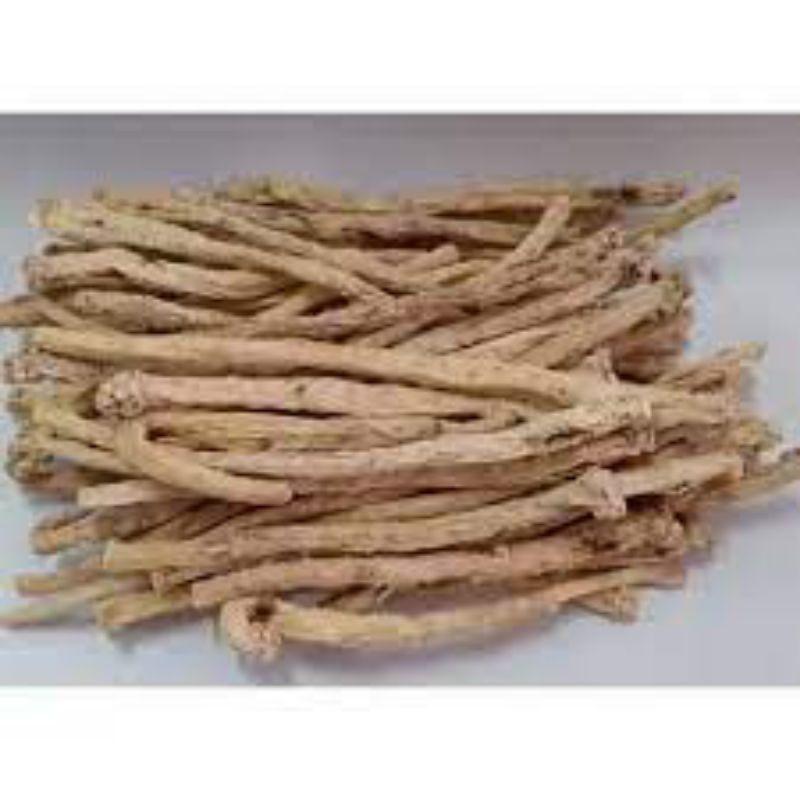 Tong SIM/CODONOPSIS ROOT/YONG SEM/DANG SHEN/TONG SEM 100 Grams | Shopee ...