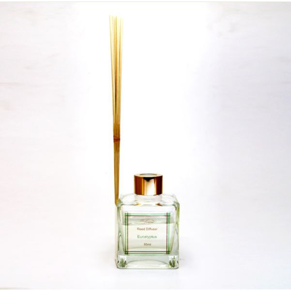 148 PERFUMISTA REED DIFFUSER SET EUCALYPTUS 40ML | Shopee Philippines