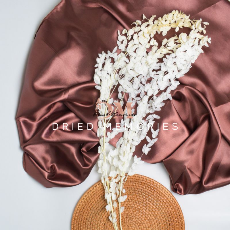 Dried Parvi / Parvifolia Flower Real Decor Gift Wedding Party Home ...