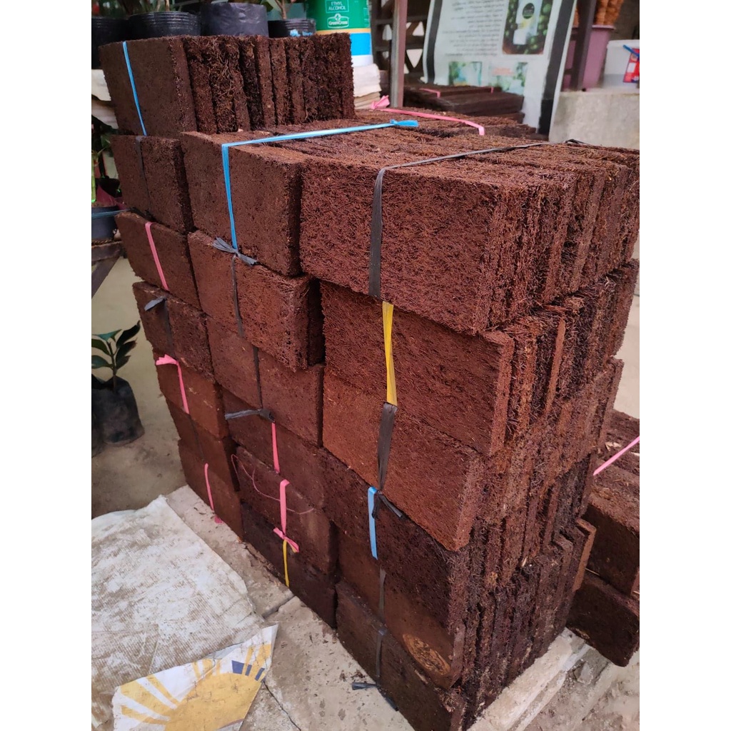 [BOGO] Organic Fern Block/Slab (Best for Trailing and Creeping Plants ...