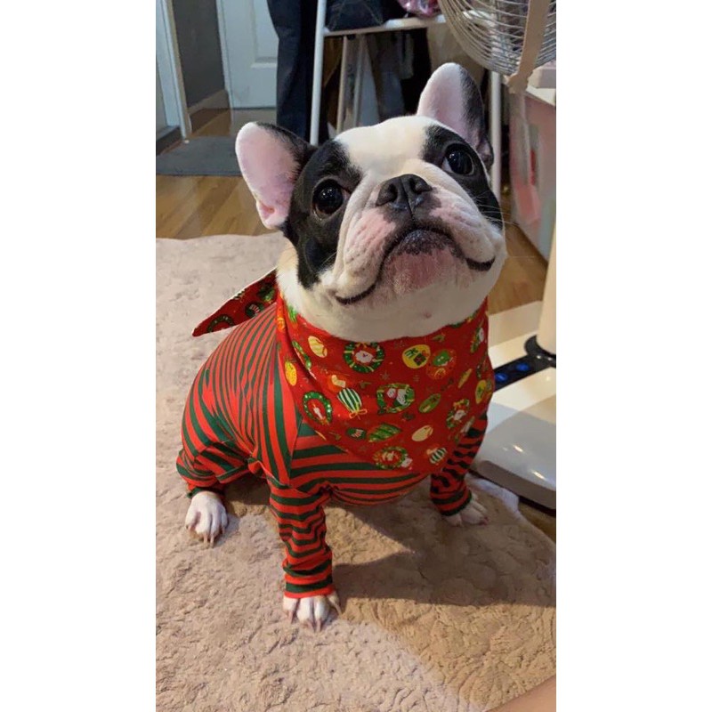 Hair Fall Protection Set Red Green Stripes (Scroll To See Size ...