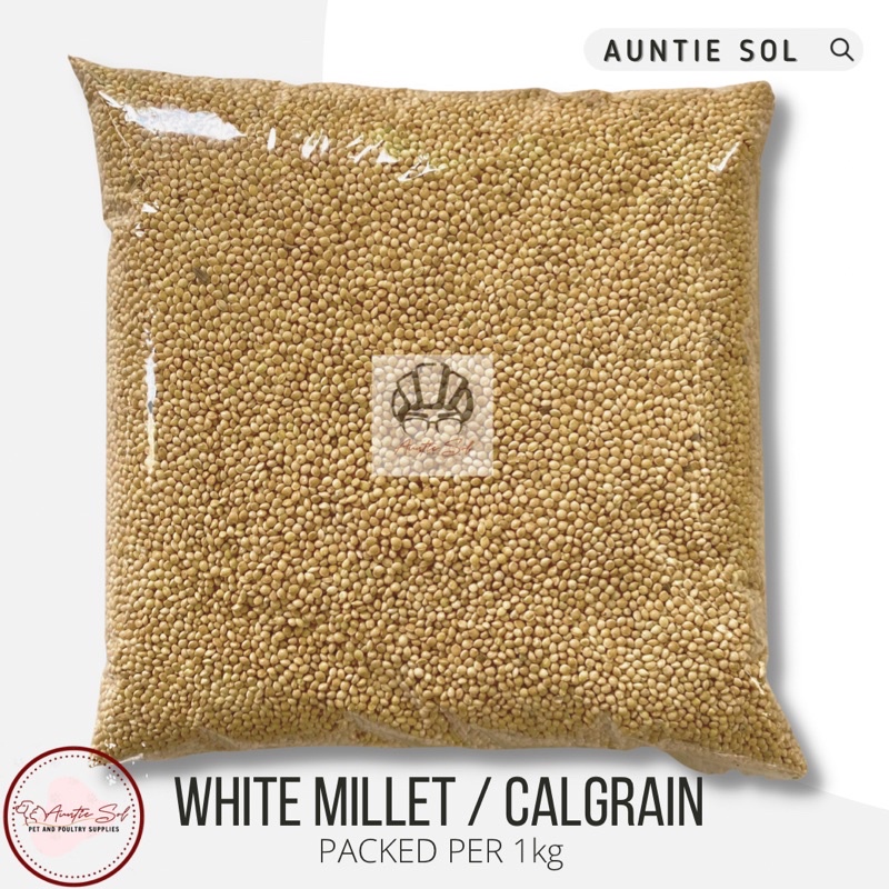 White Millet / Birdseed / Calgrain packed per 500g / 1kg | Shopee ...
