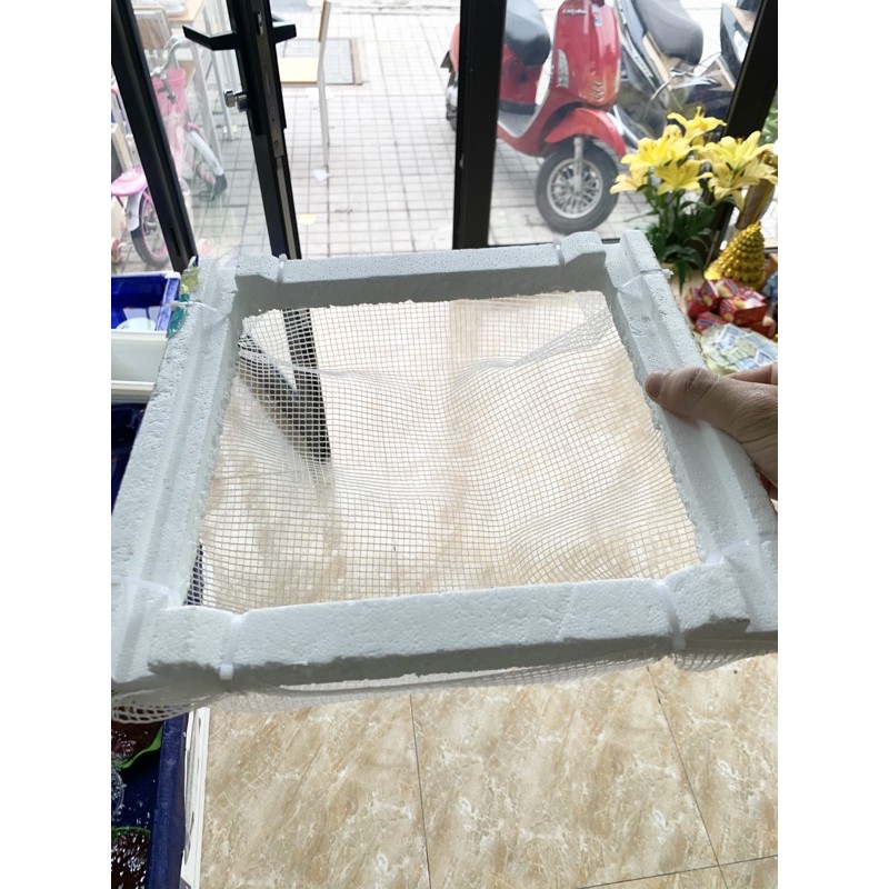 Homemade net spawning cage (small) | Shopee Philippines