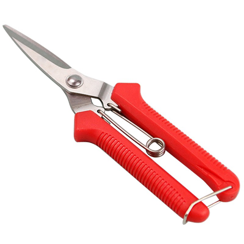 Gardening Hand Pruning Micro-Tip Leaf Straight Scissor For Plants ...