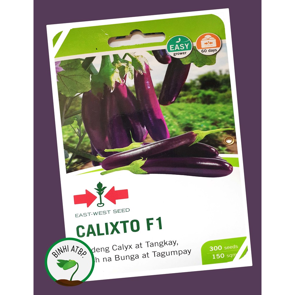 East-west Calixto F1 Eggplant Seeds (1 Pack - 300 Seeds) | Shopee ...