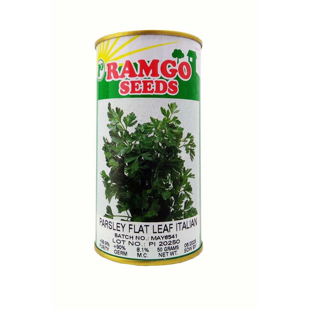 Ramgo Seeds Tin Can Parsley Flat Leaf Italian 50g GDSFPH_S4 | Shopee ...