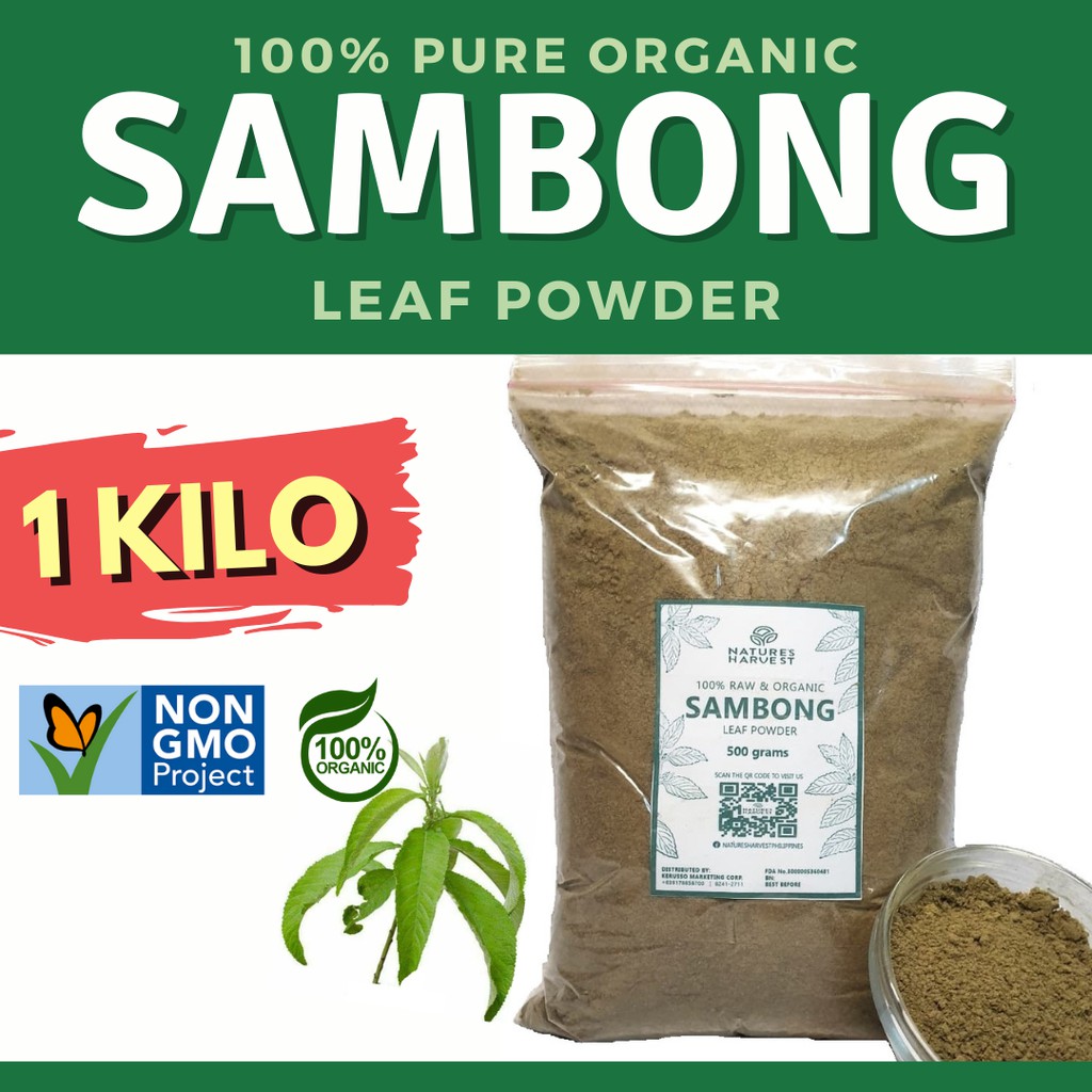 Shop sambong leaves for Sale on Shopee Philippines