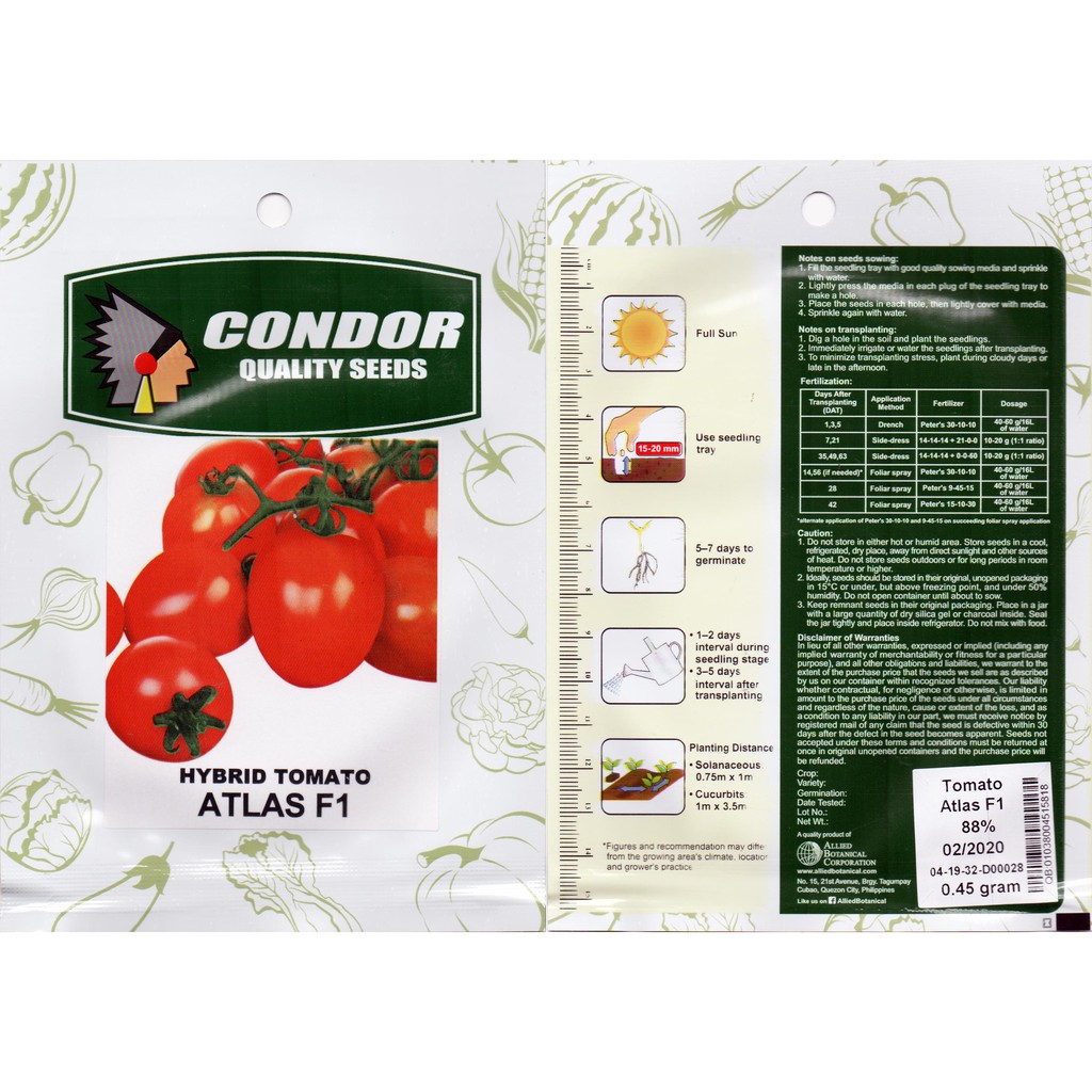 Ramgo Condor Yates East West Tomato Seeds - Sold per Pack per Variety ...