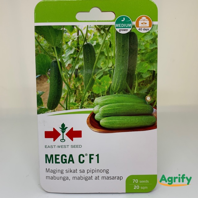 mega c f1 seeds eastwest | Shopee Philippines