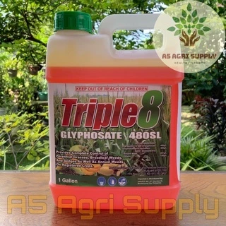 triple8 - Best Prices and Online Promos - Jun 2024 | Shopee Philippines