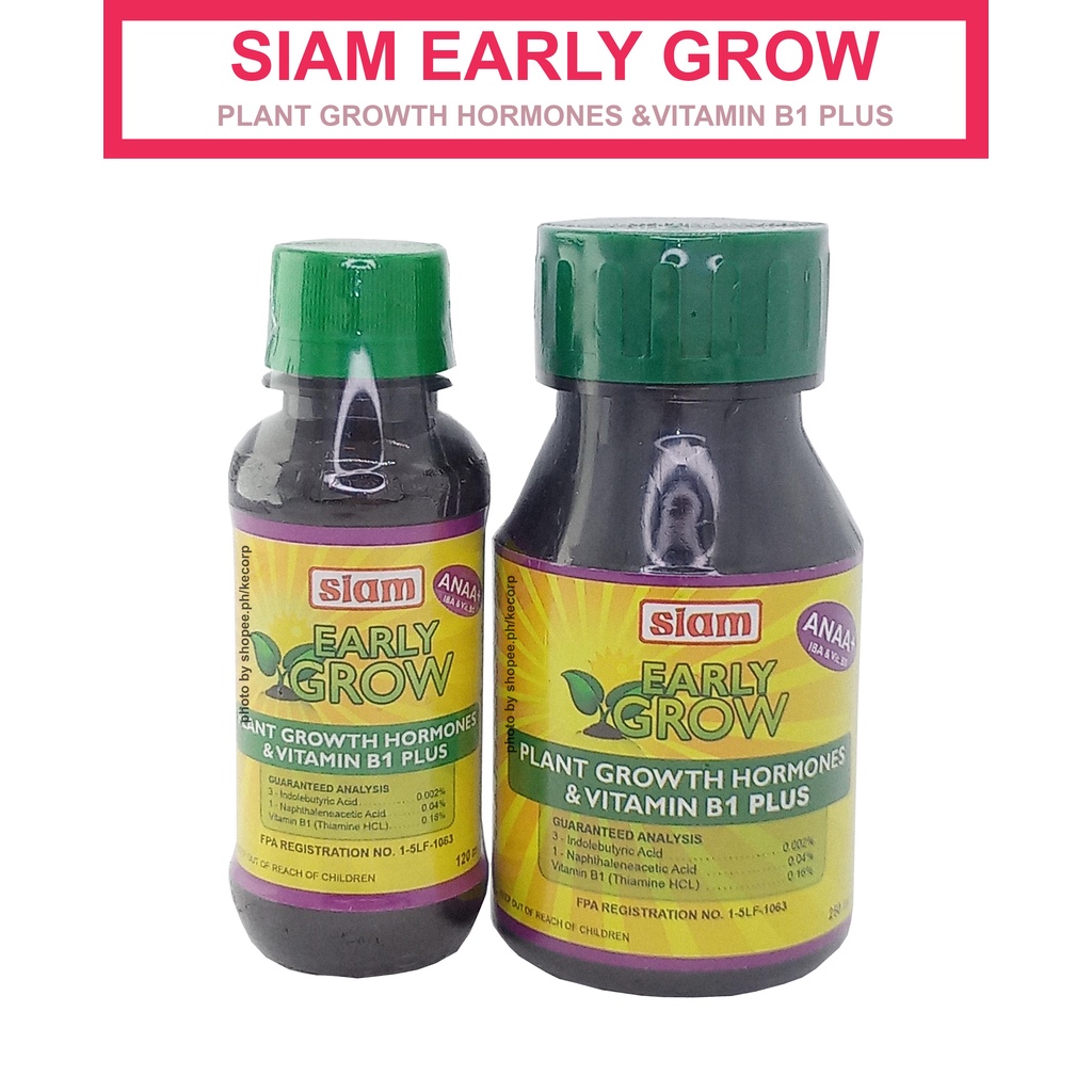 Siam Early Grow Plant Growth Hormones KECORP_S1 | Shopee Philippines