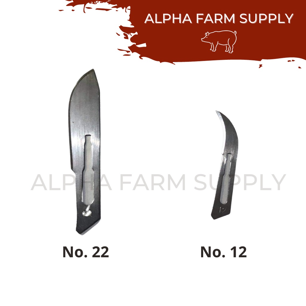 10 pcs. Surgical Scalpel Blade ( No. 12 and No. 22 ) | Shopee Philippines